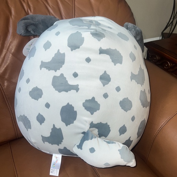 Squishmallows | Toys | Nwt Squishmallow Raylor The Australian Shepherd ...